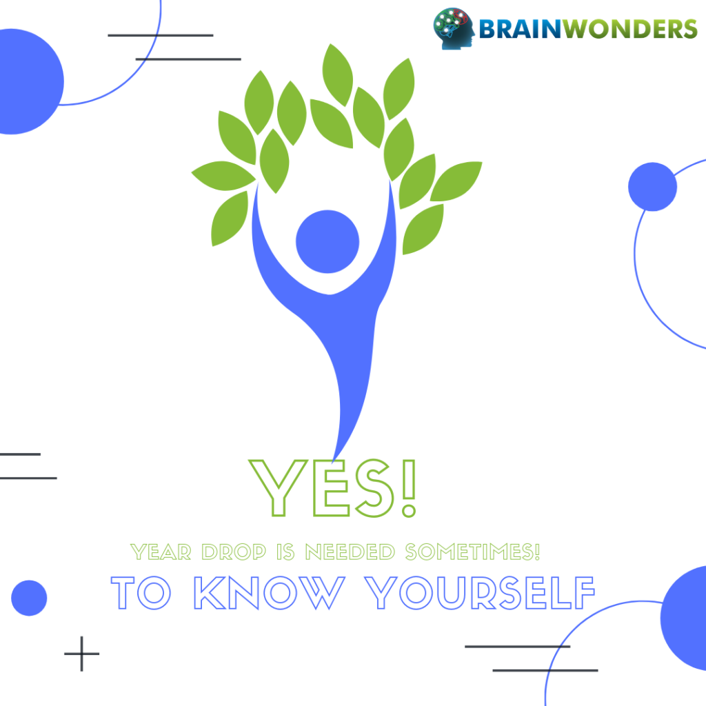 A year drop can help to decide on a career, but how to save a year ...